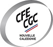 logo ellipse CFE CGC NC | UT CFE-CGC Nouvelle-Calédonie